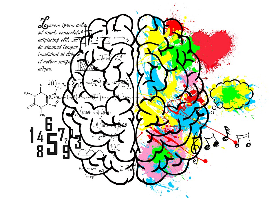 taalwijs.nu | How language shapes the way we think